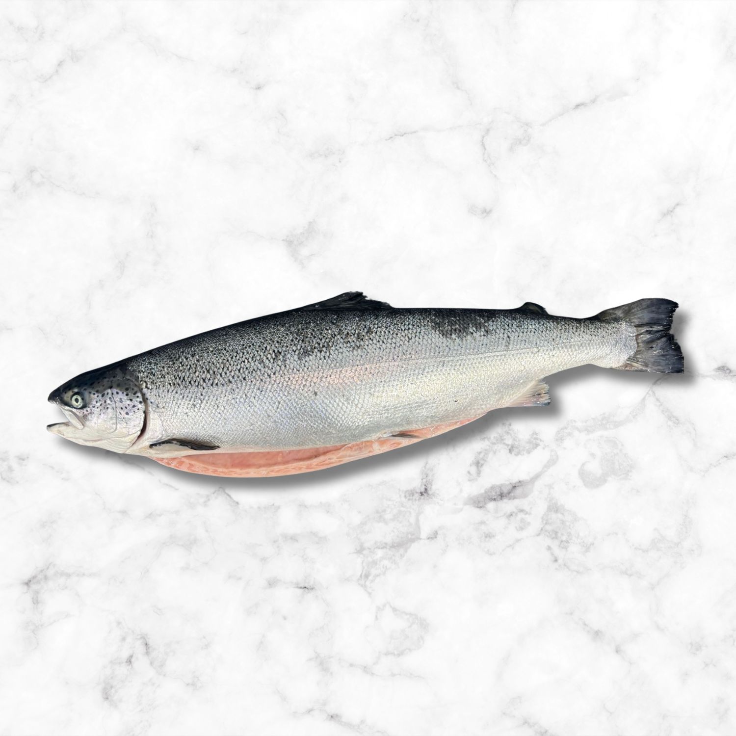 Zalm pakket - Aanbod: Duurzaam Vlees & Vis Rechtstreeks van de Boer ...